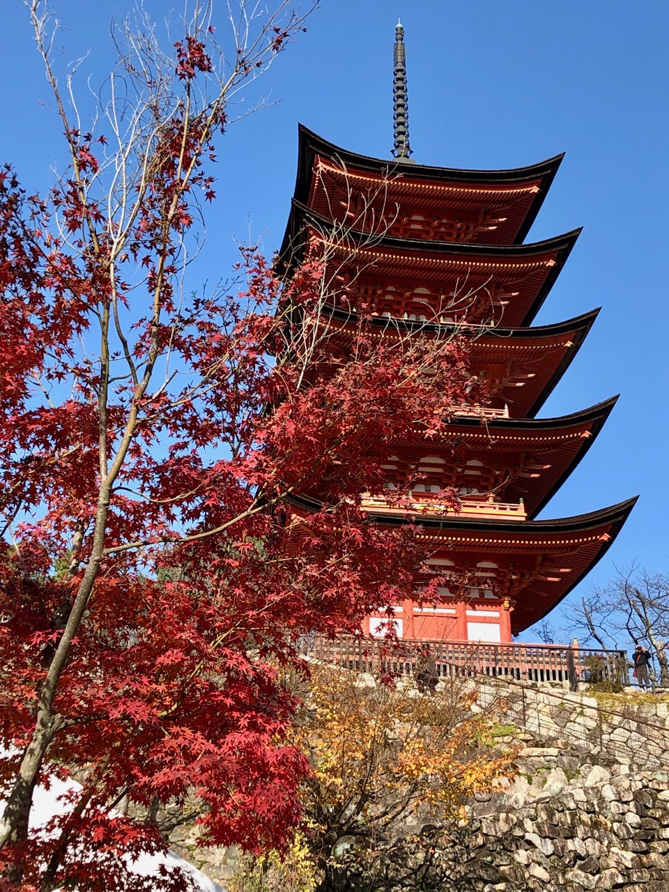 [Interview #004] Embracing Nomadic Travel from early retirement at age ...