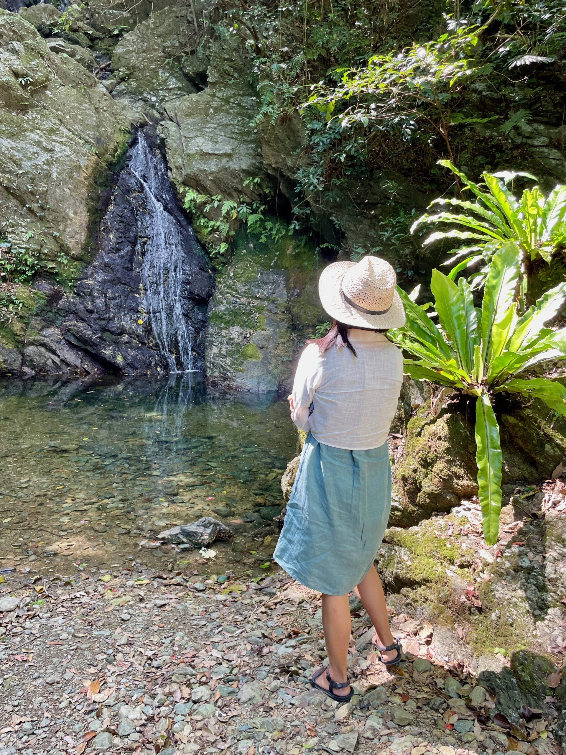 Visit Ogimi Village, Okinawa: Half-Day Itinerary in Japan's Blue Zone