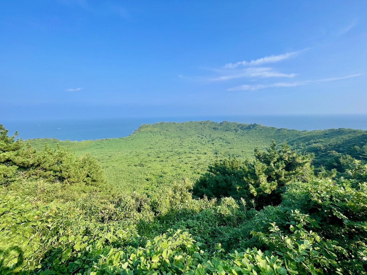 5 days detailed itinerary: Jeju Island, South Korea — Nomad Numbers